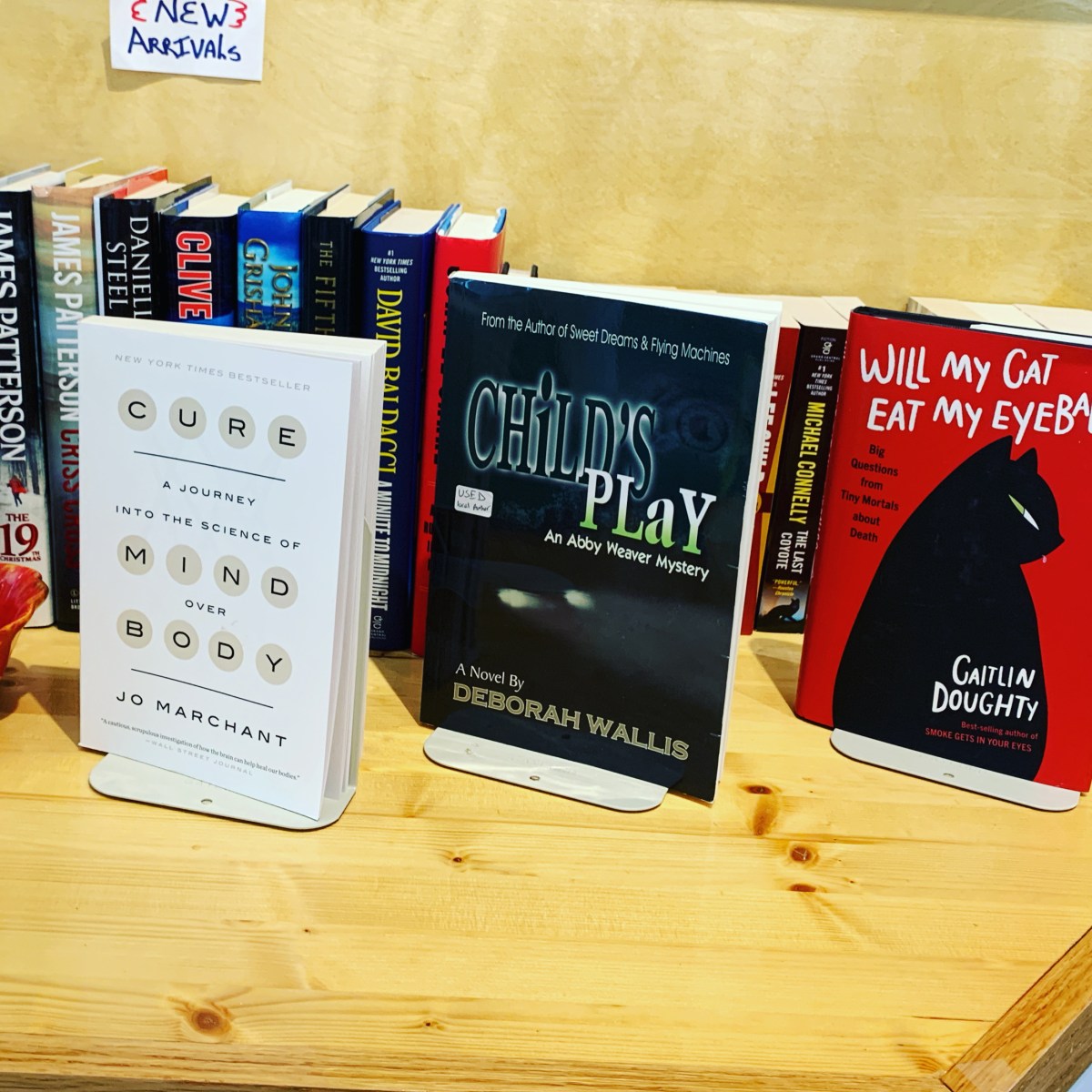 Photo Gallery – The Next Chapter Books and Art