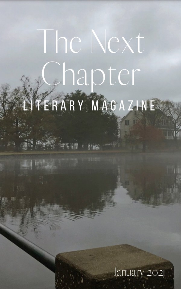 Literary Magazine – The Next Chapter Books and Art