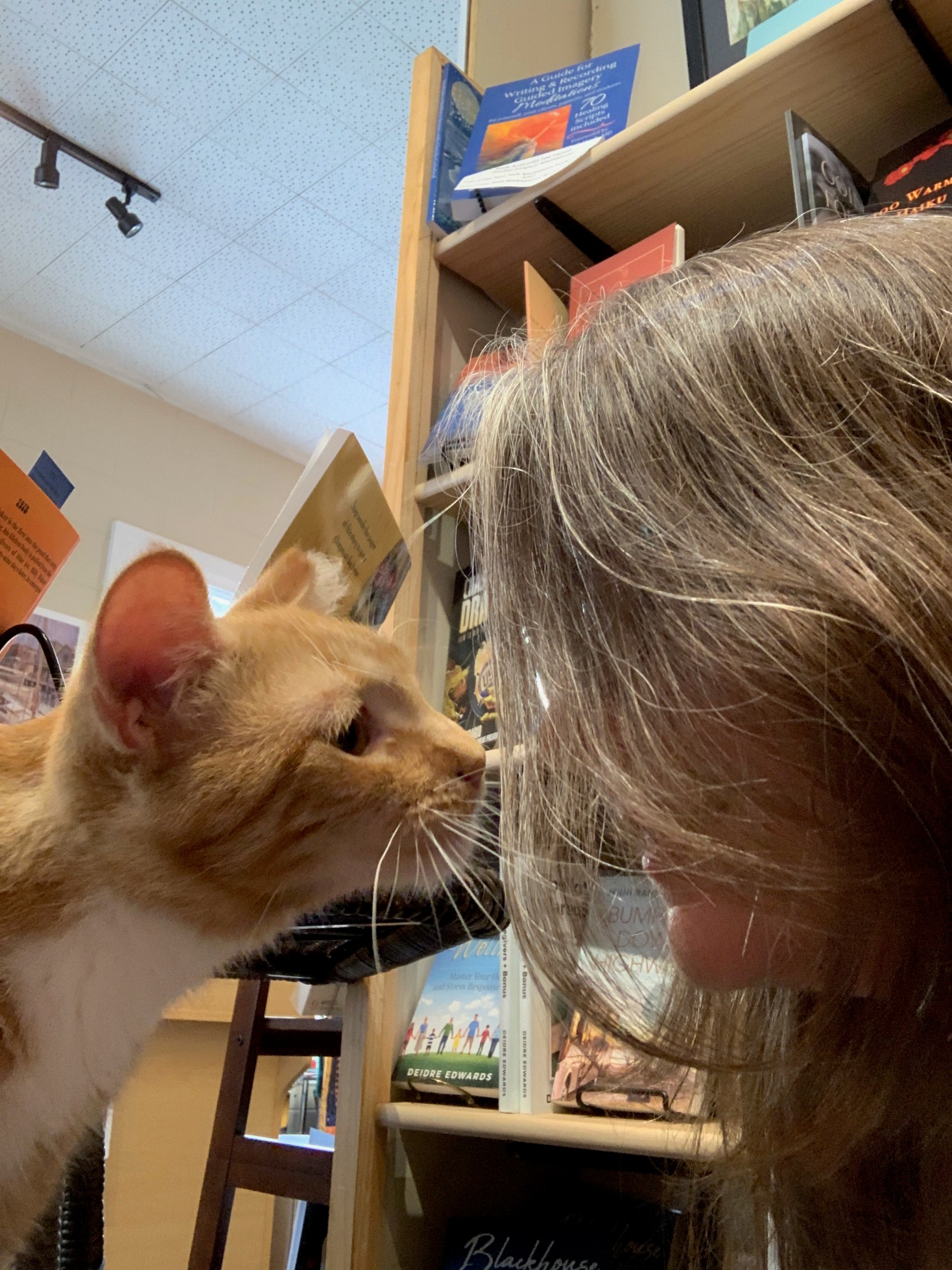 The Next Chapter Books and Art