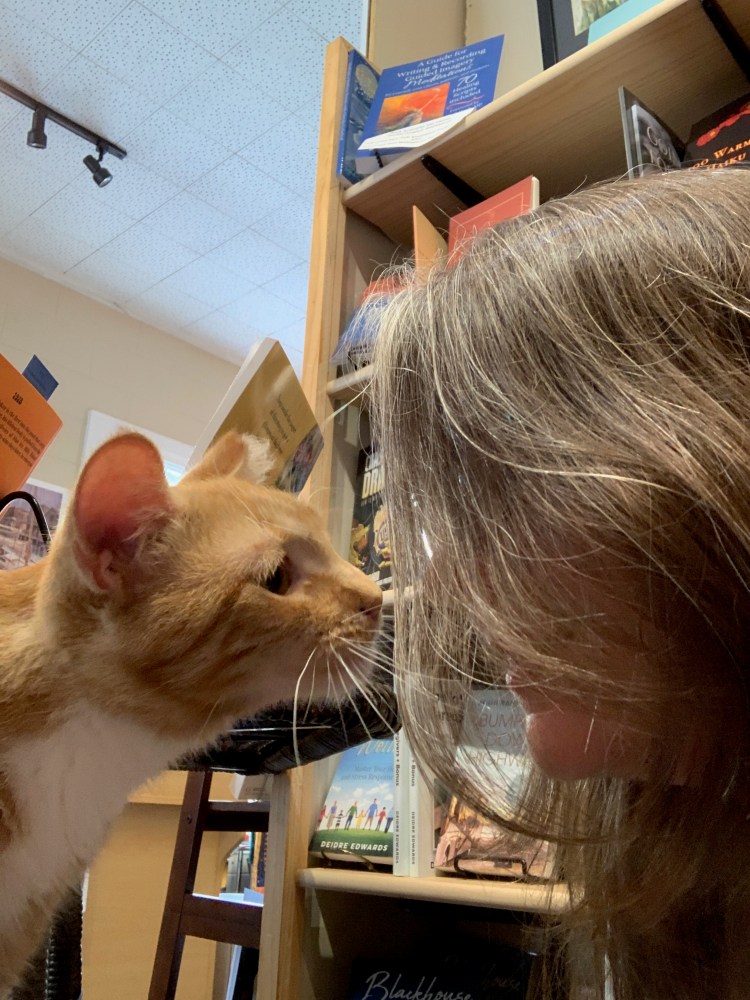 The Next Chapter Books and Art