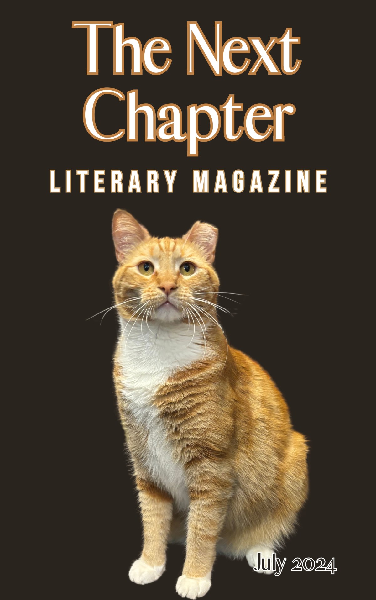 Literary Magazine – The Next Chapter Books and Art